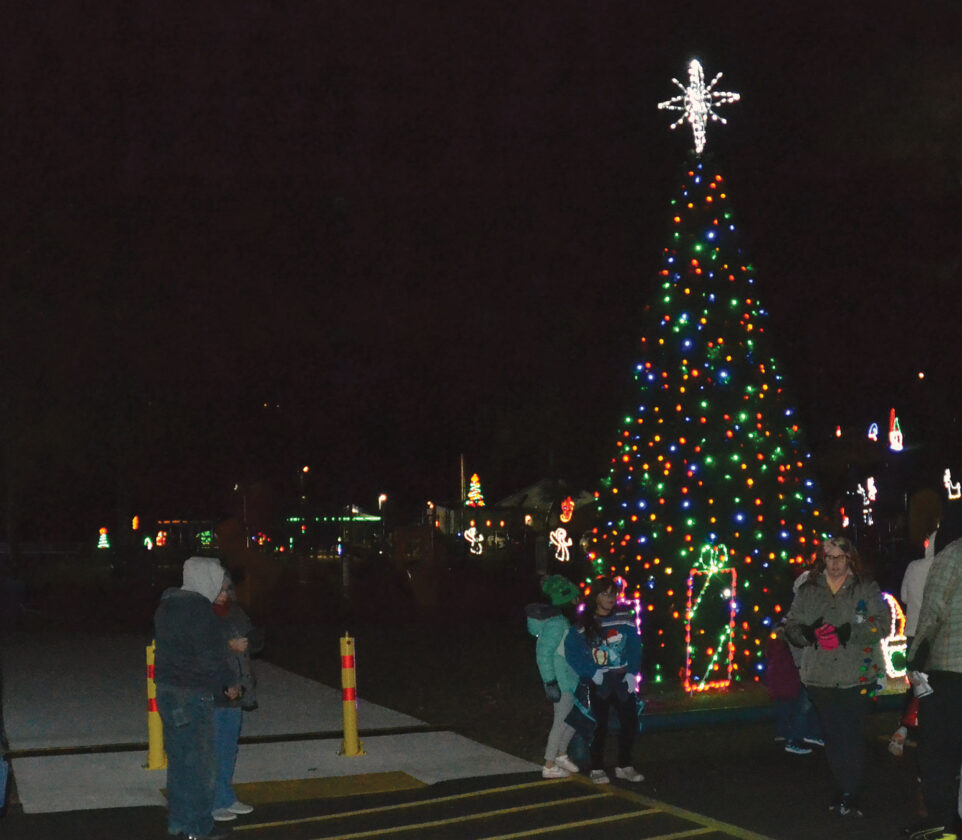 Vienna lights Holly Days tree | News, Sports, Jobs - News and Sentinel